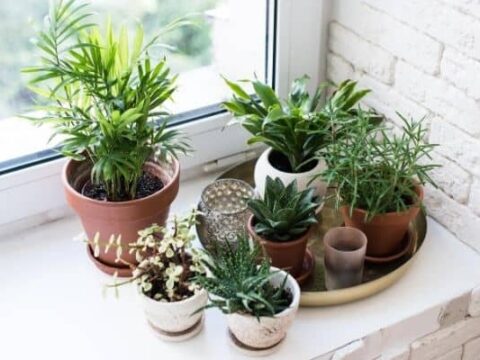 How to Declutter Your Home So You Love It - Organizing Moms