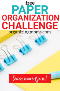 Free Paper Organization Challenge - An Easy System to Reduce Paper ...